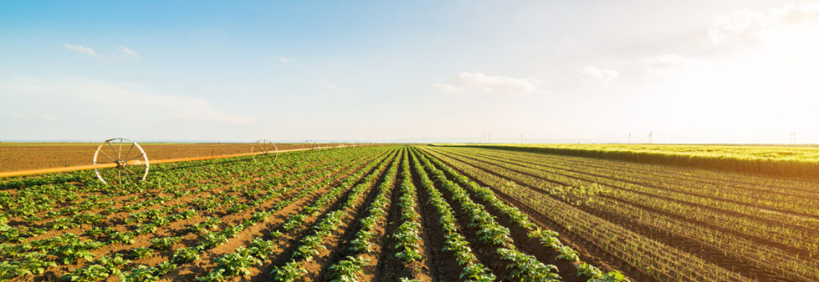 Is er nog een toekomst voor de landbouw in Nederland? - Van Oers